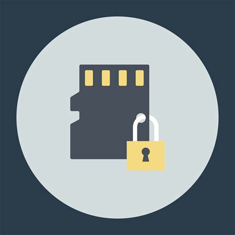 SD Card Security Vector Art At Vecteezy