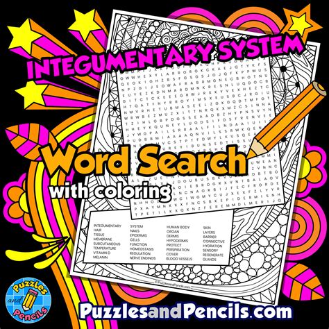 integumentary system word search puzzle with coloring human body
