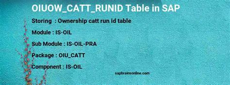 Oiuowcattrunid Sap Table For Ownership Catt Run Id Table