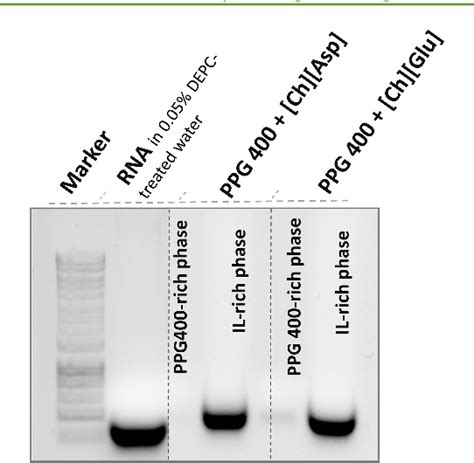 Figure 4 From Integrated Extraction Preservation Strategies For Rna