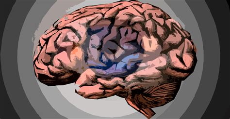 Mini Brains Grown In A Lab By Scientists Developed Sets Of Eyes