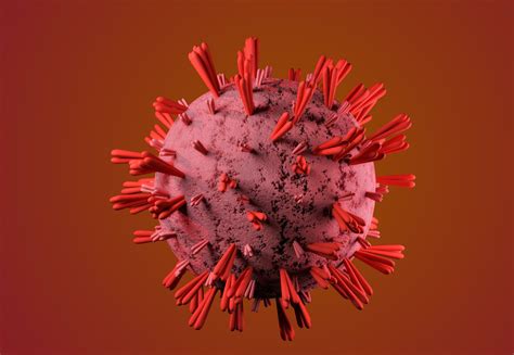 Rna Splicing Where Does It Occur Headline Bulletin