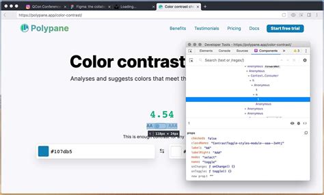 interview with creator of polypane a powerful browser for developers