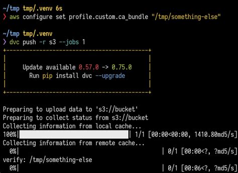 Support For Providing Certificate For Ssl Required S3 Connections · Issue 2558 · Iterativedvc