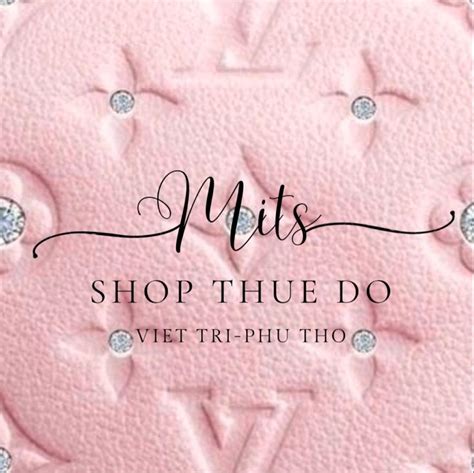 Mits Thuê đồ Việt Trì Vietri