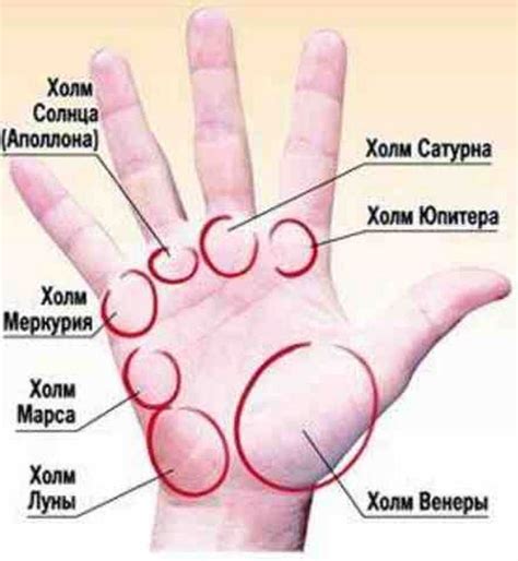 Как узнать судьбу по линиям на руке прикладная хиромантия Хиромантия Судьба Биологически