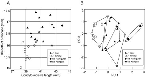 A Bivariate Plot Of Condylo Incisive Length Cil And Breadth Of Download Scientific Diagram