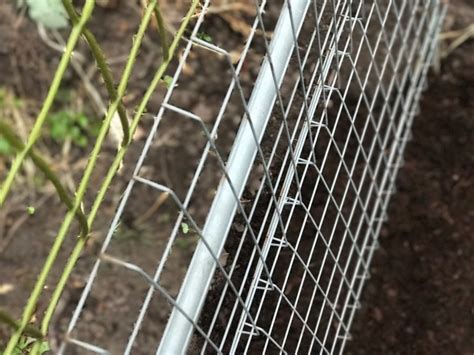 How I Built A Cucumber Support For Free Homegrown Garden