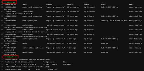 Docker How To Run Curl Inside Gitlab Ci Stack Overflow