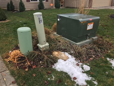 Landscaping Ideas To Hide Utility Boxes ~ Landscape Design Plans