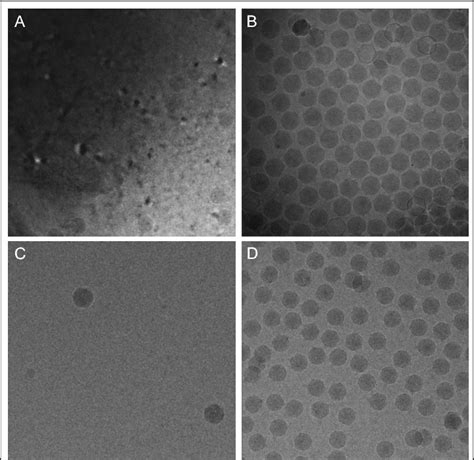 Examples Of Cryo Em Virus Images From Grids Of Different Sample Download Scientific Diagram