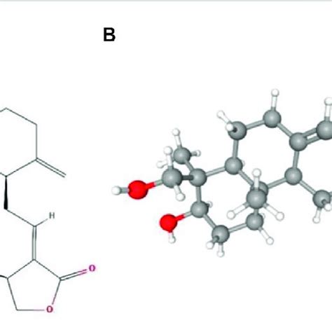 Molecular Structure Of Andrographolide A Two Dimensional Structure