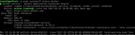 Docker Kali Linux Plelessons