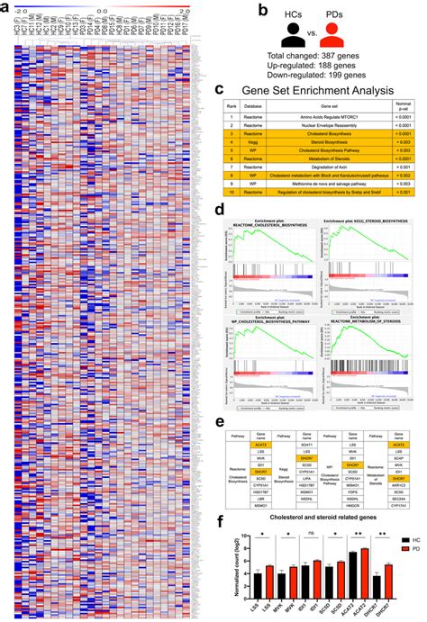 Transcriptome Analysis Of Pd Imgs A Hierarchical Clustering And Heatmap Download Scientific