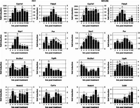 Qrtpcr Verification Of Temporal Microarray Results In Rats And Mice
