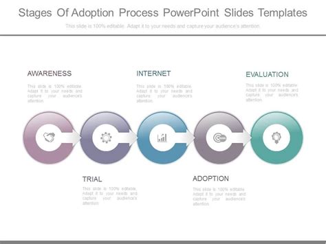 Stages Of Adoption Process Powerpoint Slides Templates Powerpoint