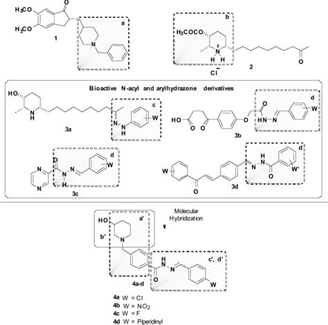 Molecular Hybridization As A Tool In The Design Of Multi Target