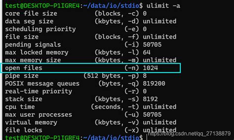 Linux系统编程笔记（李慧琴）1李慧琴电子科大 Csdn博客