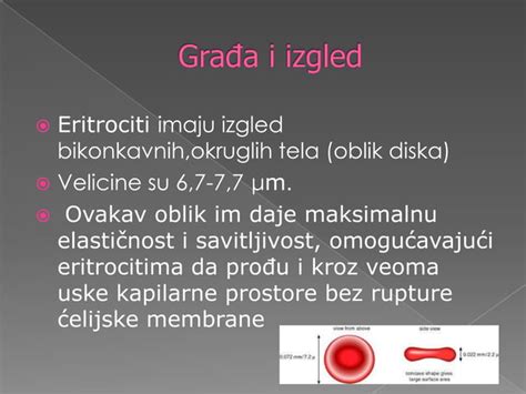Eritrociti Tijana Jakovljevic Pptx
