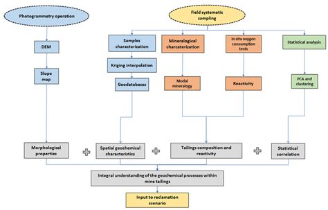 schematic illustration of the methodological approaches used in this