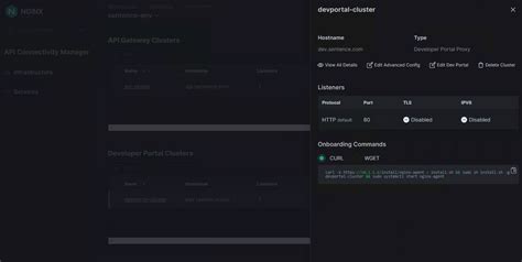 step 3 link the api gw and dev portal