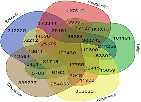 Venn Diagram Showing Coding Region Snps Based Comparison Of Five Venn Diagram Showing Coding Region Snps Based Comparison Of Five