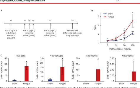 Figure 1 From Serum Calprotectin Is A Potential Marker In Patients With Asthma Semantic Scholar