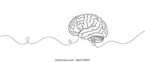 Brain Continuous One Line Drawing Human Stock Vector Royalty Free 2601378875 Shutterstock