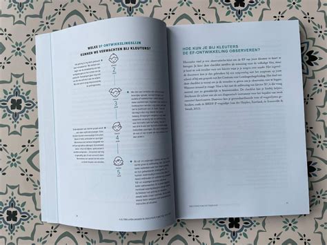 Kleuters Laten Groeien In Executieve Functies Hoe Zo Stoerleesvoer