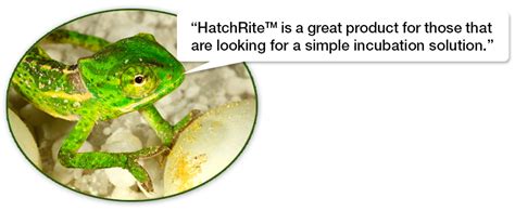 The Very Best Reptile Incubation Medium Hatchrite™
