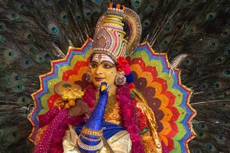 Mayoora Nirtham by Sheryl Denton
