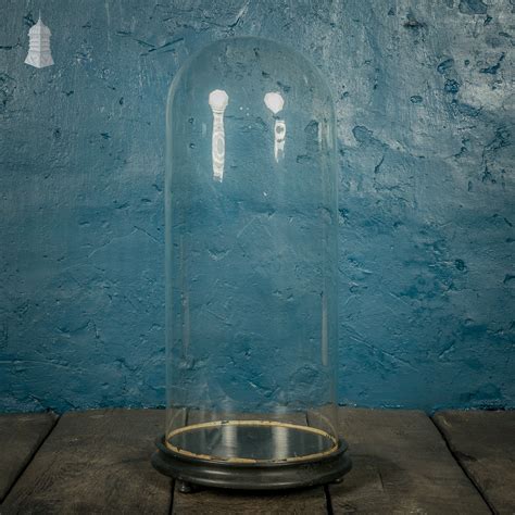 Glass Display Cloche With Turned Wooden Base 19th C Glass Bell Dome