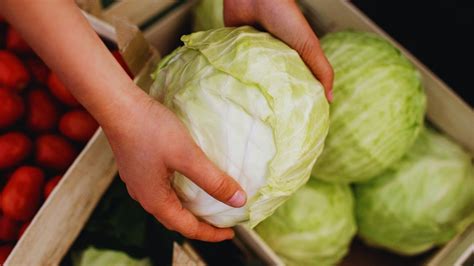 Квашені капустяні листочки на зиму для голубців від сільської господині Читайте на Ukr Net