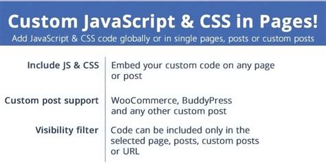 Custom Css And Javascript Developer Edition 1014