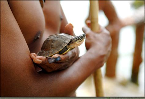 필리핀 보홀bohol섬 로복강 투어 2 Spk의 사진 놀이터