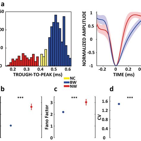 Cell Types Classification A Complete Database Of The Waveforms Download Scientific Diagram