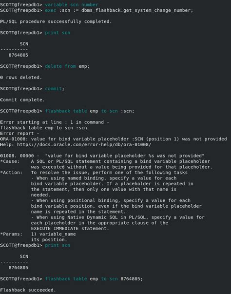 Bind Variables Not Working With Flashback Command Oracle Forums