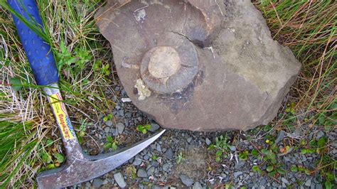 Rockhounding 101 Everything You Need To Know About This Fun Rock