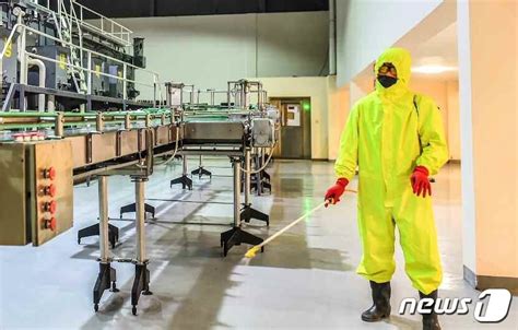 코로나19 방역 철통 같이소독 중인 나선영선가공공장 뉴스1