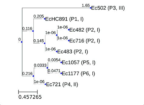 Phylogenetic Tree Generated By Program Parsnp Core Genome Snp Tree Download Scientific