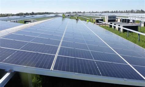 Panneau Solaire Jinkosolar Dépasse Les 33 De Rendement Avec Sa Nouvelle Cellule Solaire