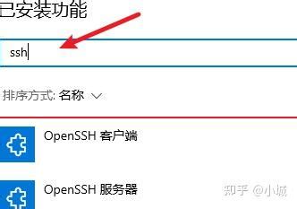 windows开启ssh服务教程 知乎