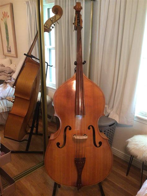 Double Bass Need Help Identifying Strings And Low Ea Advice