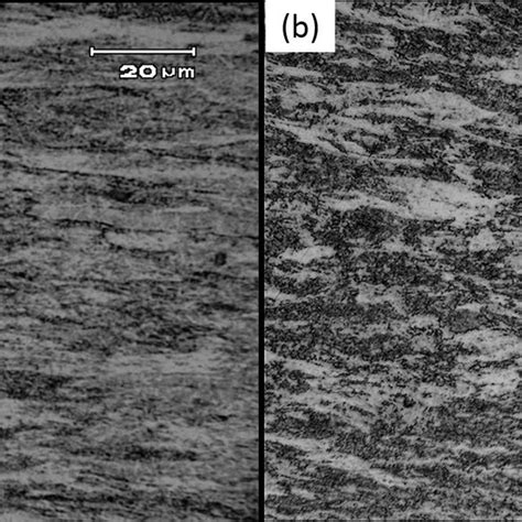 Microstructure Of M1 Material A Longitudinal Section B