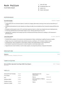 Excel Data Analyst Resume Example