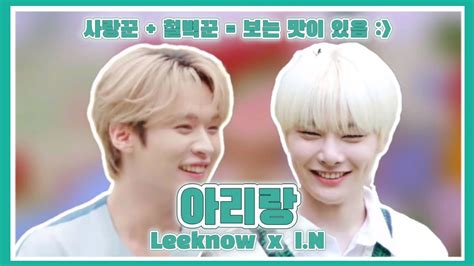 [스트레이키즈 리노 아이엔] 형이 어려워 형이 불편해 아리랑즈 영상모음 Youtube