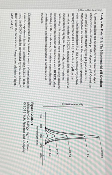 Analyze The Data 12 1 The Mitochondrial Ph Gradient