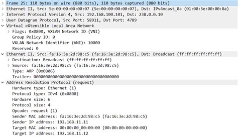 The Network Times Vxlan Part V Flood And Learn