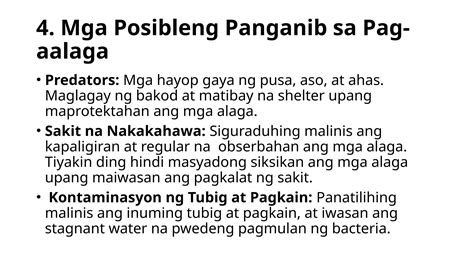 L5 Mga Gabay Sa Pag Aalaga At Pangangasiwa Ng Poultry Animals Pptx