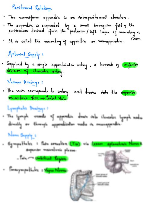 SOLUTION Anatomy Of Vermiform Appendix Studypool